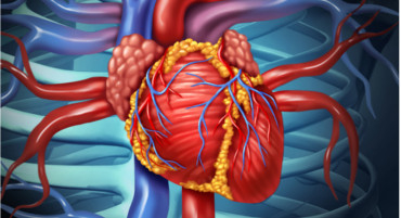 Tissue Valve Surgery - Proheart